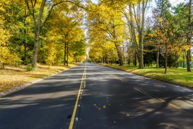 Fall in Winston-Salem | Visit Winston Salem