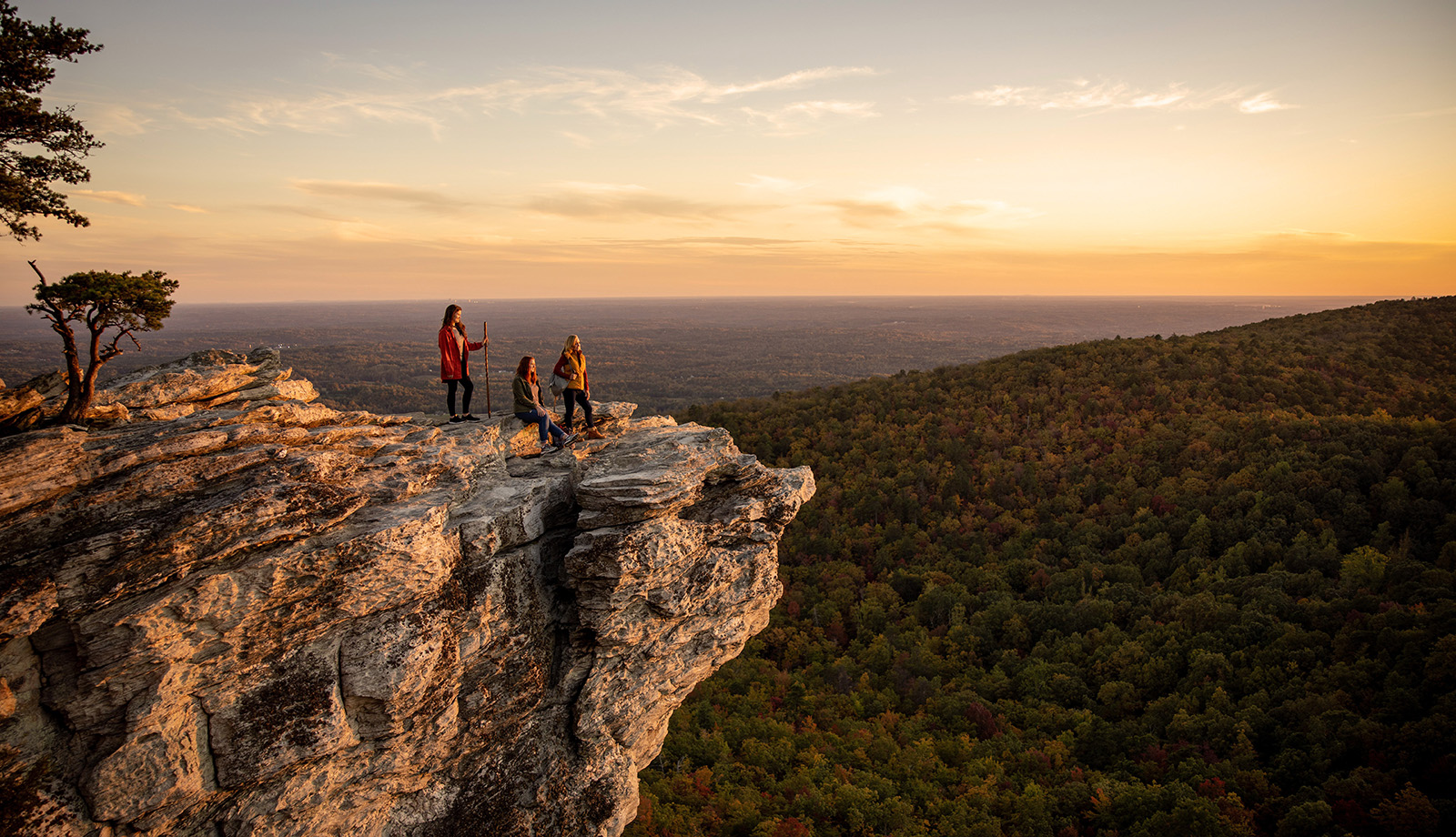 Are Dogs Allowed At Hanging Rock